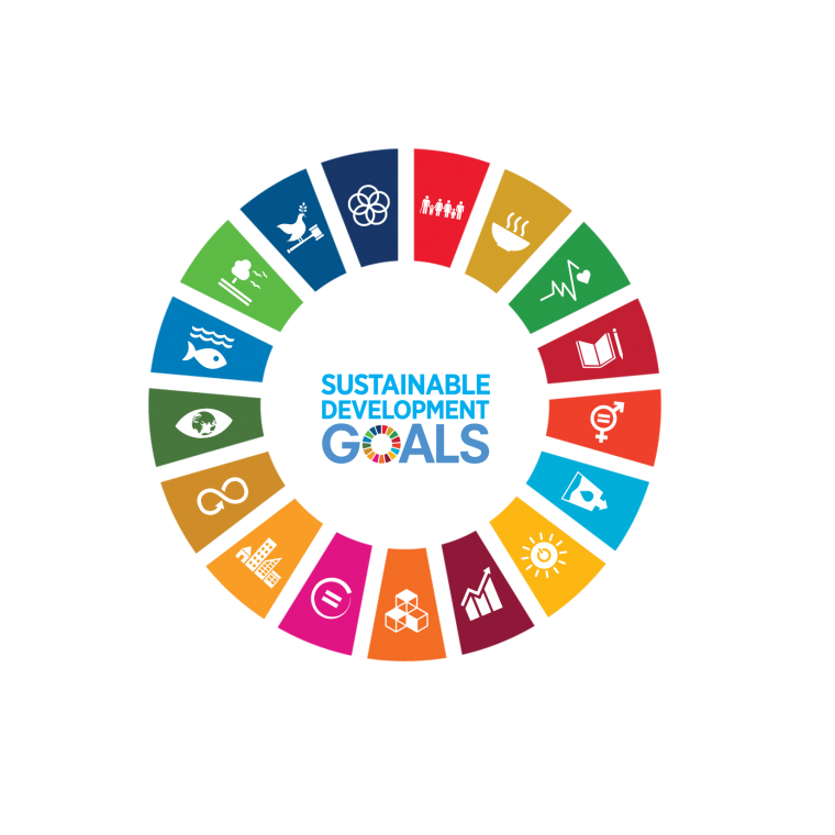 Ireland's SDG National Implementation Plan - CARO