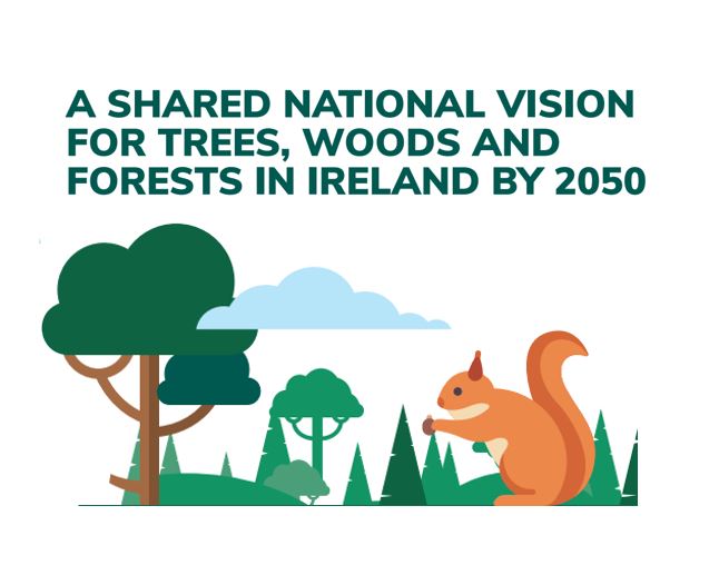 Public consultation survey on New Forest Strategy - CARO